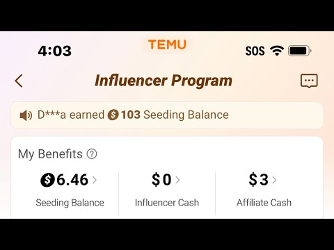 Temu Affiliate Program and TEMU seeding balance | how to get TEMU ...
