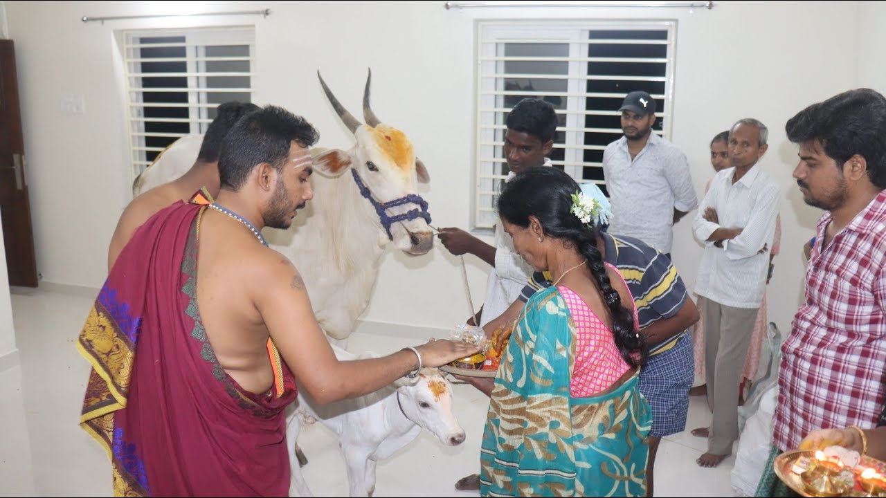 house warming video | gomatha pooja | homam | bommala pelli ...