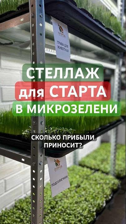 Стеллаж для микрозелени. Набор - «Старт. Первая практика». #микрозелень ...
