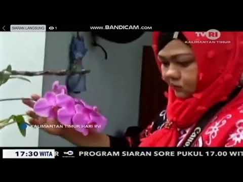 Helena Lin Legi Kartini Masa Kini Dari Tanah Benuo Taka - YouTube