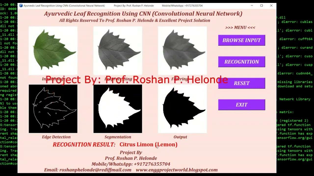 Ayurvedic Plant Recognition Using CNN Python Project With Source Code ...