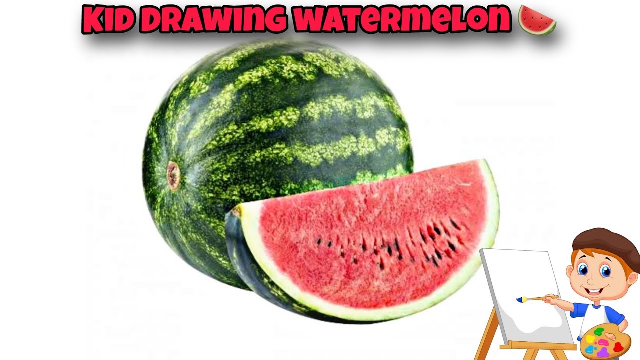 How to draw Watermelon | Fruit Drawing - YouTube