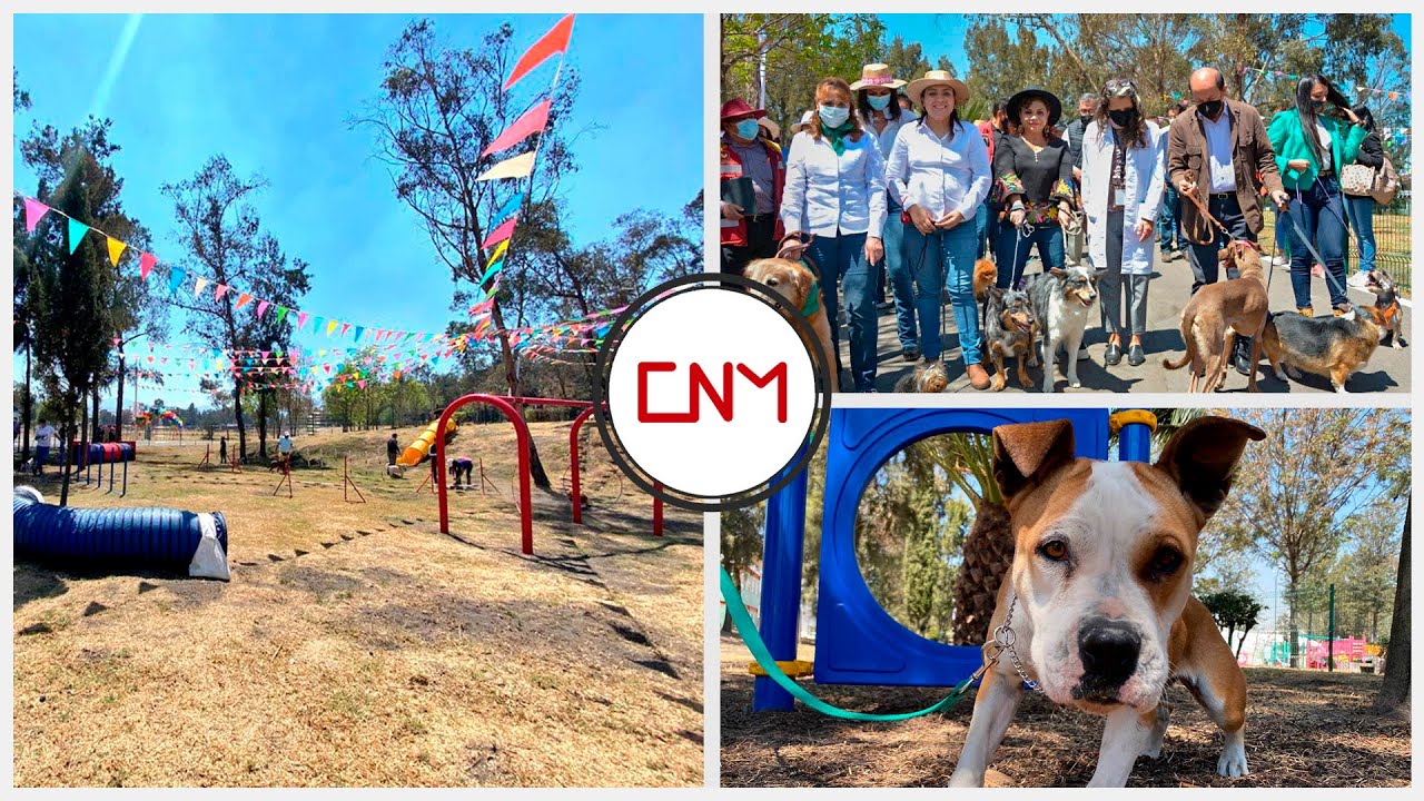 Inauguran el parque canino más grande de la Ciudad de México. Mundo ...