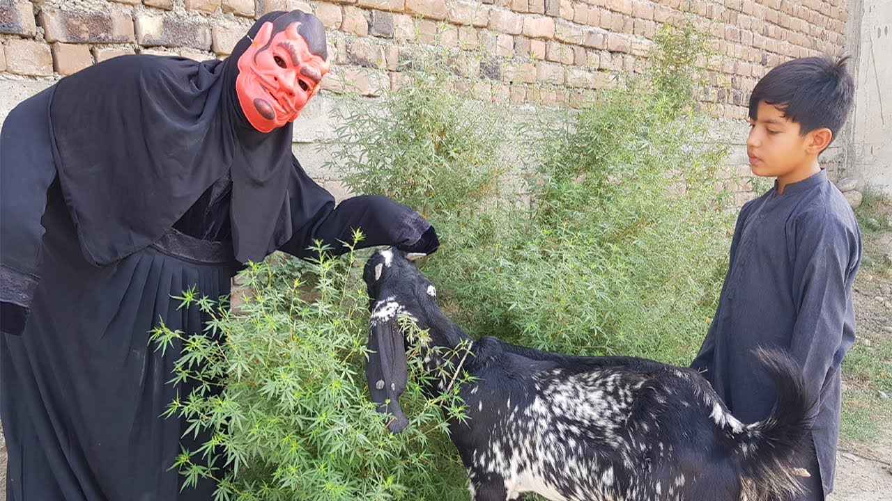 Shaitan Vs Bakra Eid 2021 | Eid Ul Adha 2021 | Message Video 2021 ...