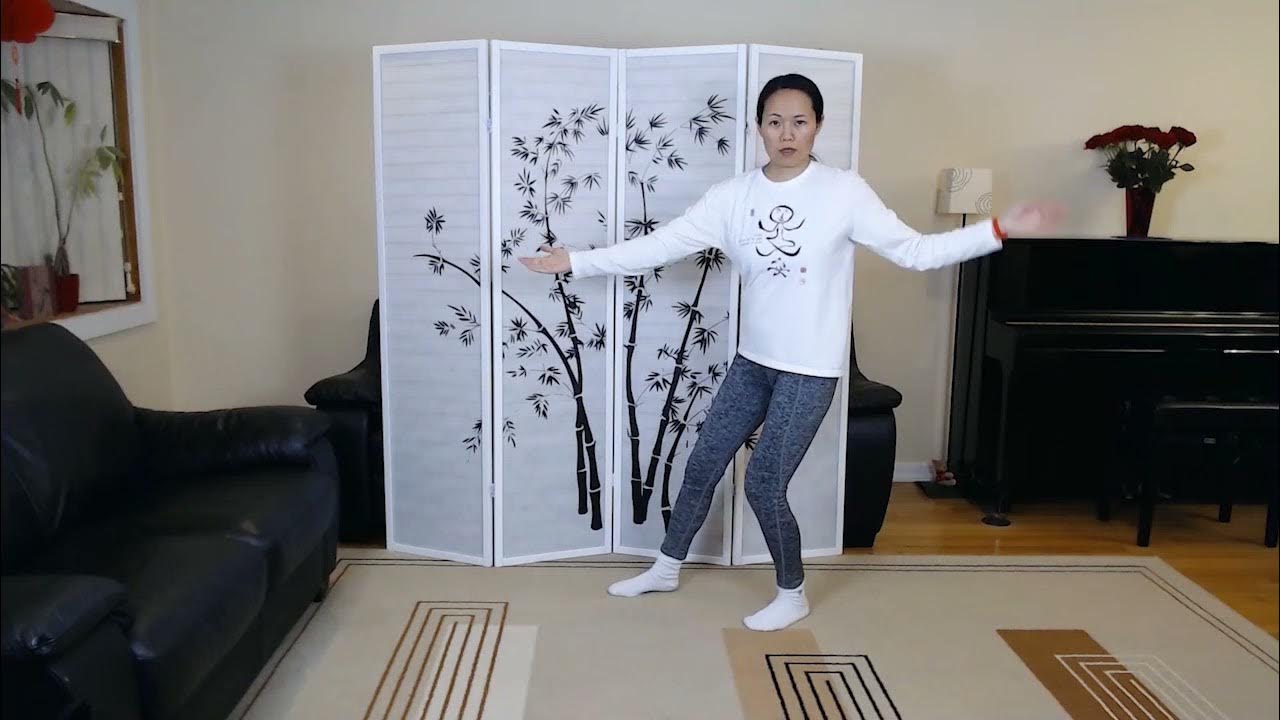 Tai Chi Yang Style 37 Form - First 24 Sequences up to Brush Left & Right Knee in Mirror Image ...