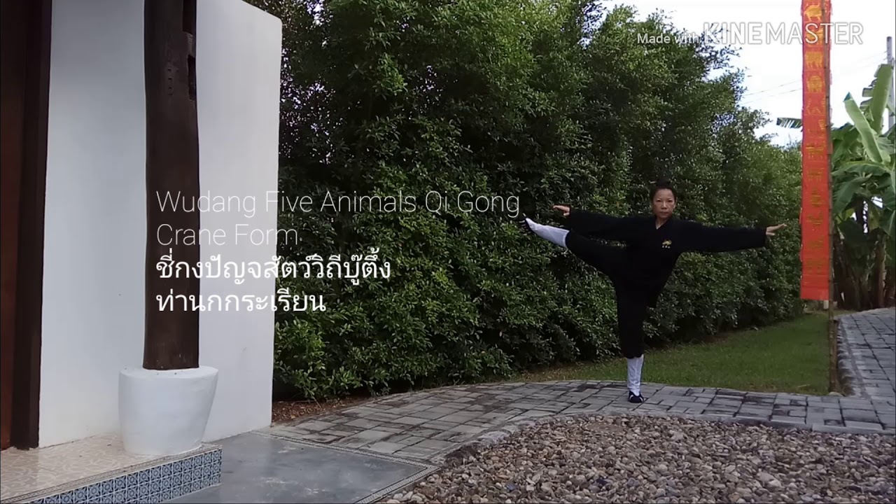 Wudang Five Animals Qi Gong (continued) - YouTube