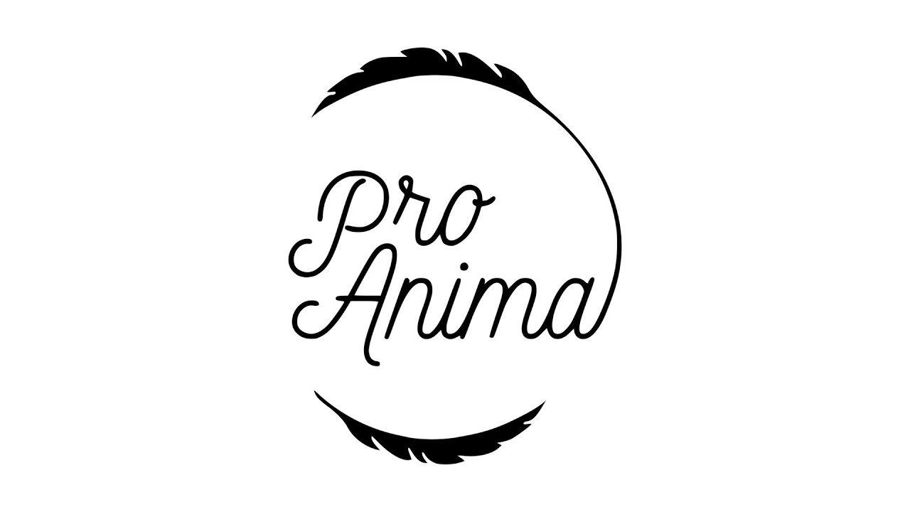 МИР PROANIMA 21.09.2019 - YouTube