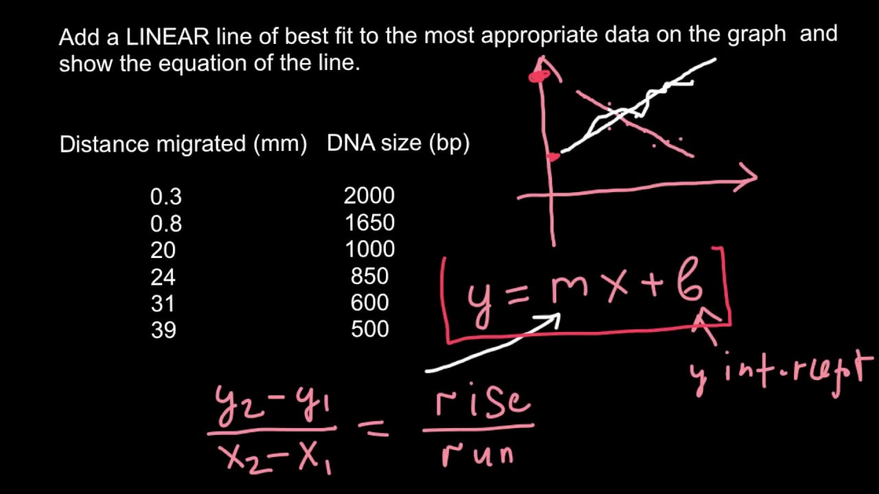 Genetics: How to convert numerical data in a linear graph - YouTube
