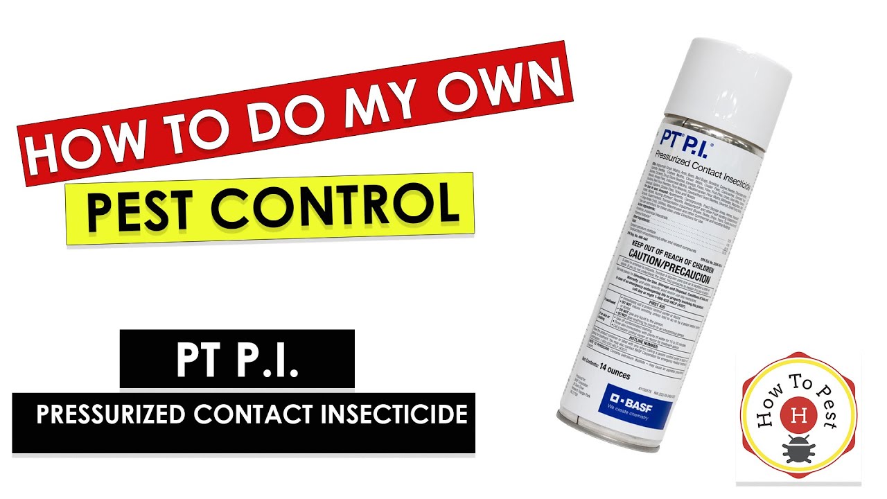 How To Do Your Own Pest Control - PT P.I. Pressurized Contact ...