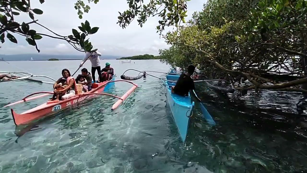 Bakhawan Paradise, Cordova, Cebu - YouTube