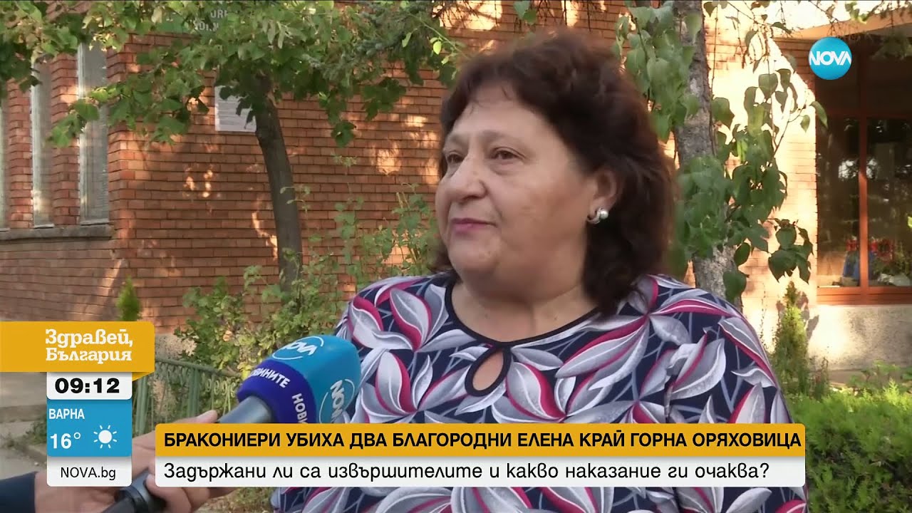 Заловиха бракониери убили два благородни елена край Горна Оряховица