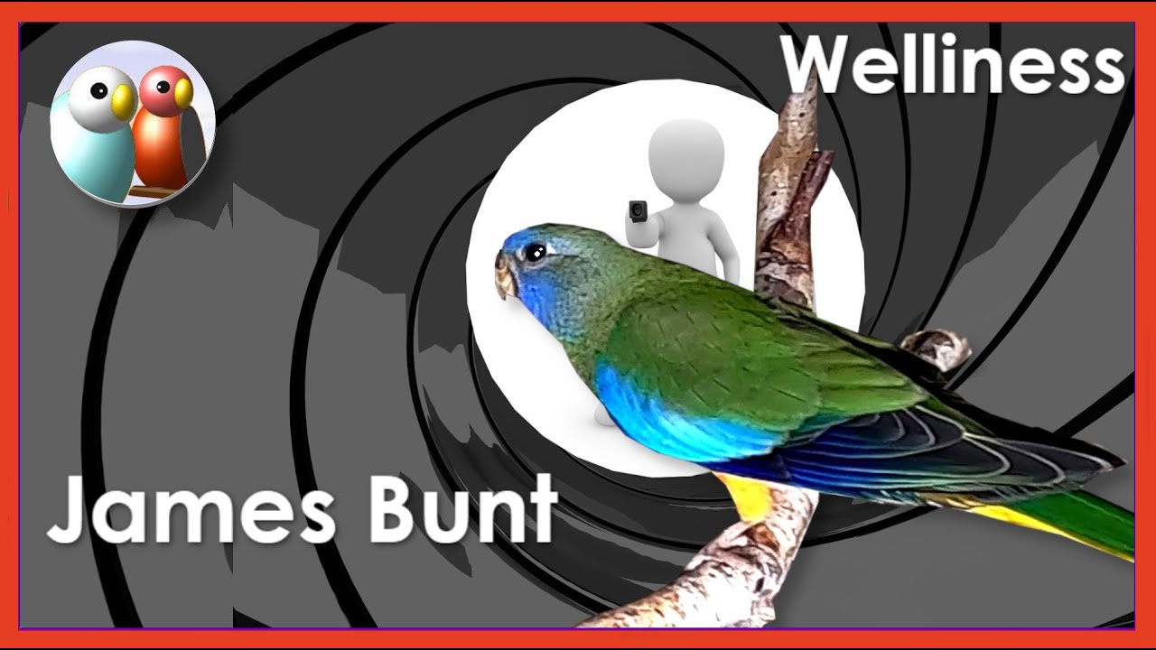 Ein neuer Partner für Sternchen. Sein Name ist Bunt, James Bunt! 195 ...