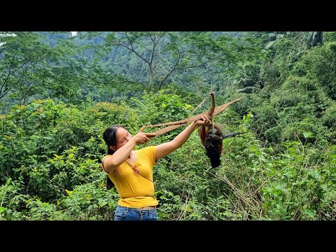 Forage in the jungle, cook on the farm - alone & live off the grid ...