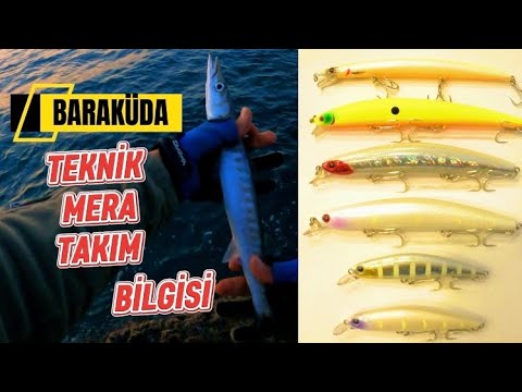 Baraküda Avı Teknikleri ve Taktikleri