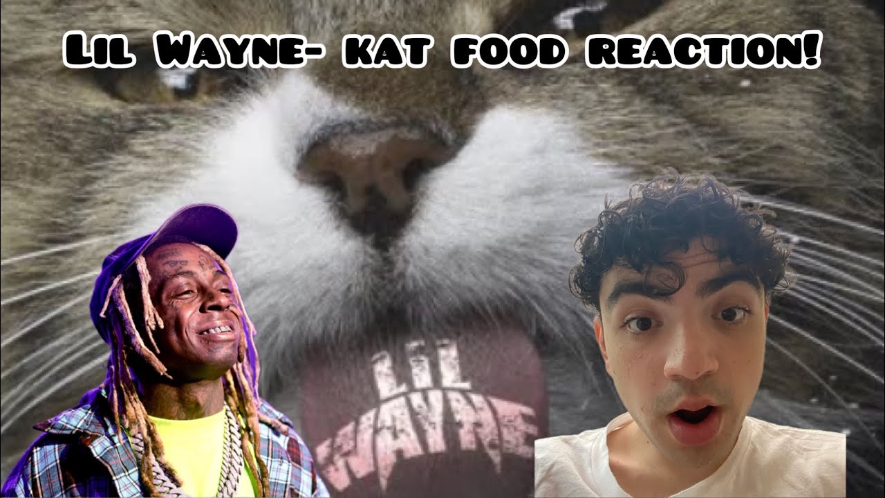WAYNE TALKED!!! Lil Wayne - Kat Food (Visualizer) | REACTION - YouTube