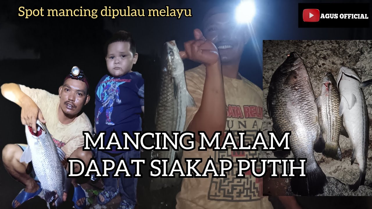 MANCING MALAM || LUMAYAN DAPAT IKAN SIAKAP PUTIH || SPOT PULAU MELAYU ...