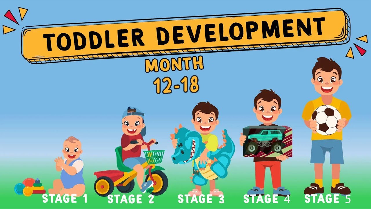 Toddler Development || MONTH 13-18 - YouTube