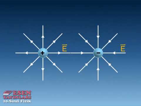 Esen Yayınları Animasyonları: Elektrik Alanın Kuvvet Çizgileri (11. Sınıf) (9. Sınıf)