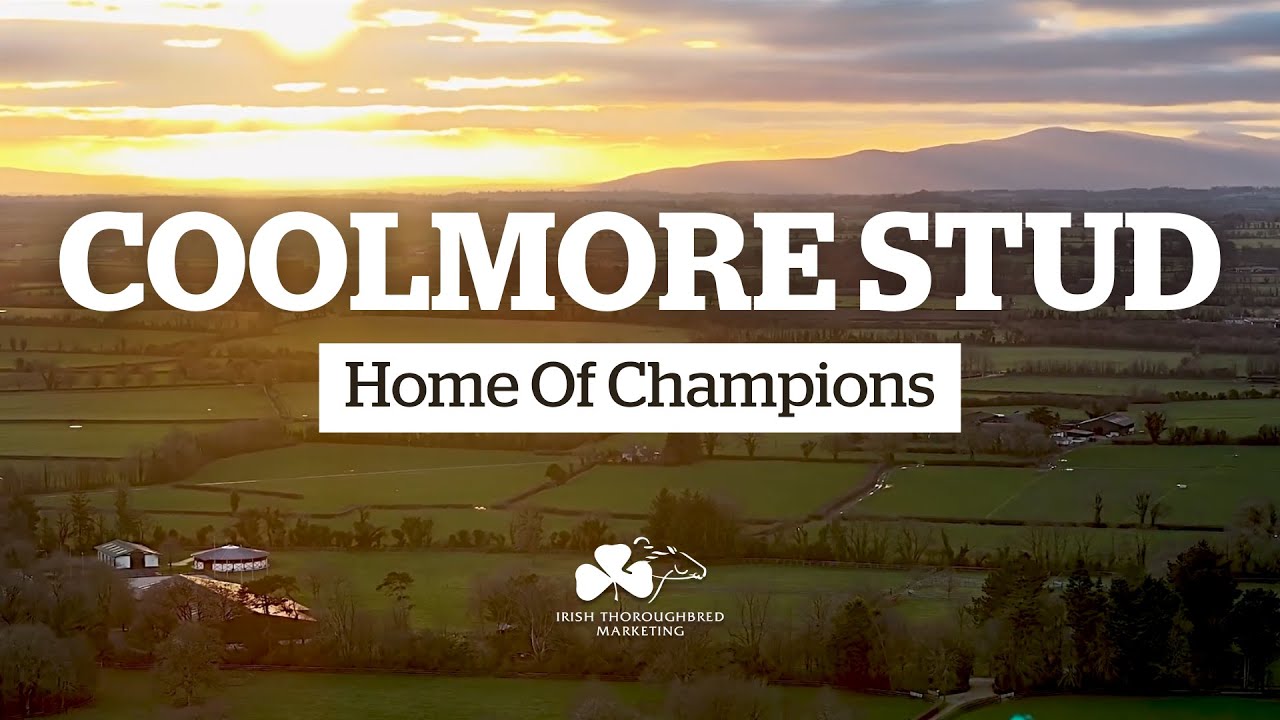 Coolmore Stud: Home of CHAMPIONS | ITM Irish Stallion Trail 2024 - YouTube
