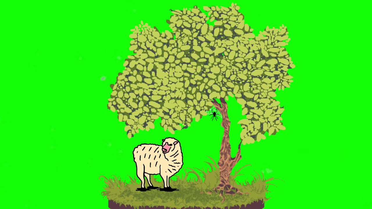Sheep, lamb, goats animated green screen video for Youtubers copyright ...