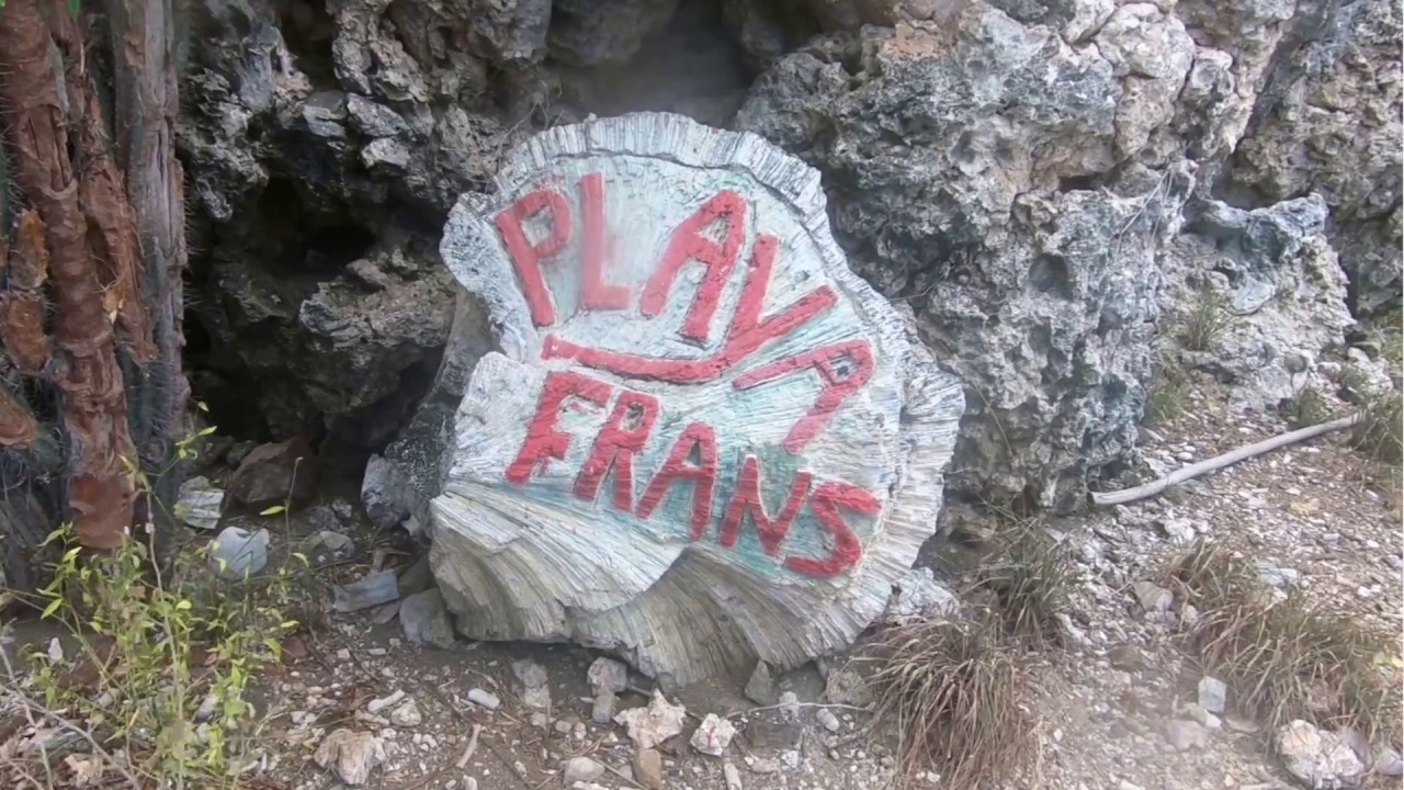 Diving @ Playa Frans, Bonaire - YouTube