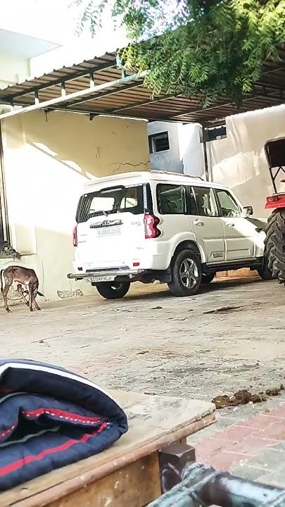 Scorpio classic s11 Mahindra lover short video viral training #car #scorpio #mahindra #viral ...