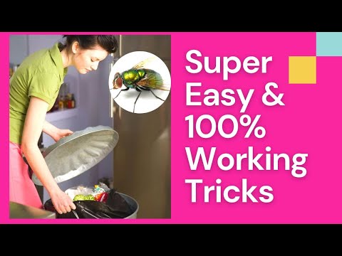 How To Keep Flies From Laying Eggs In Trash