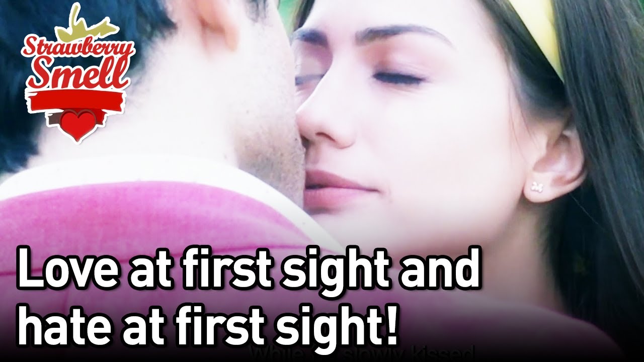 Love at First Sight And Hate at First Sight! - Strawberry Smell ...