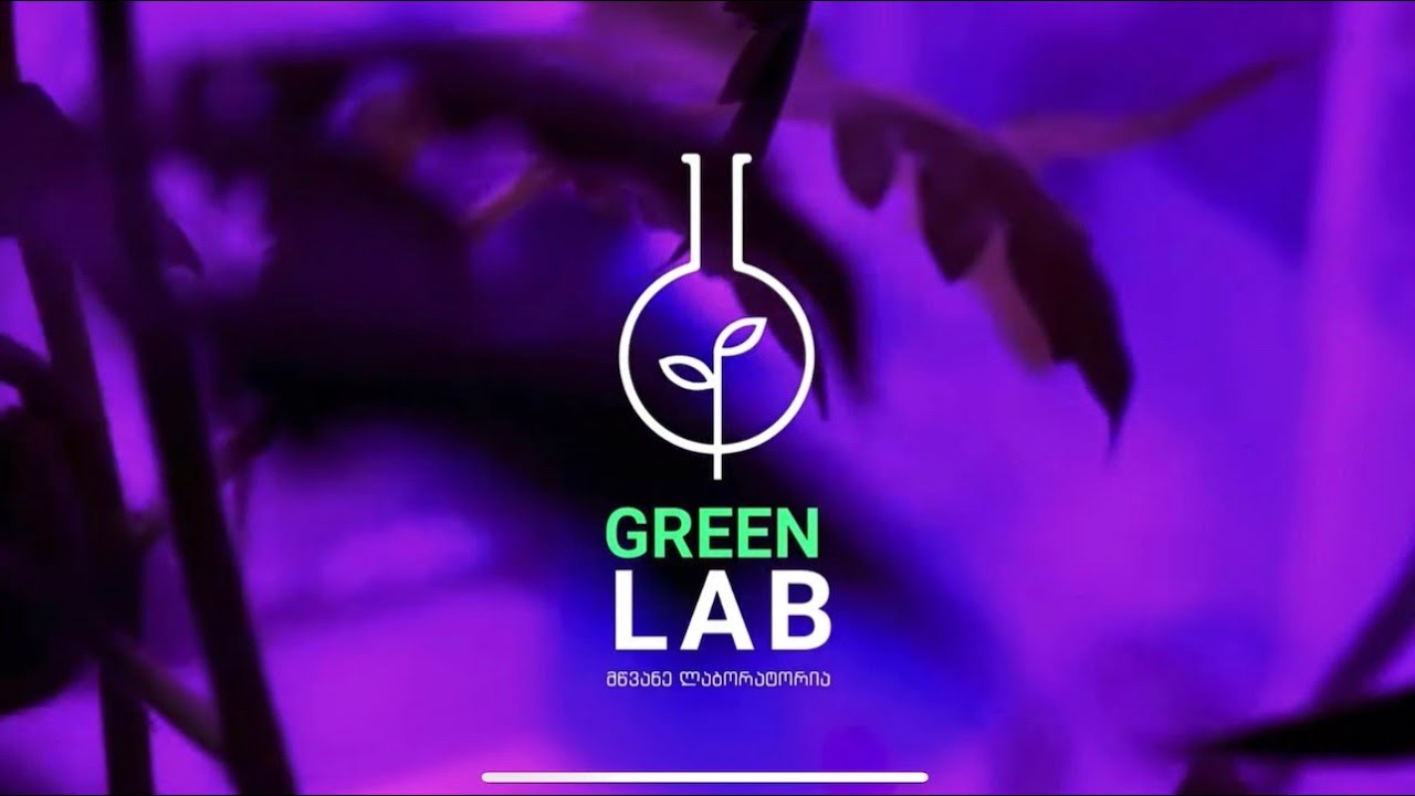 GREEN LAB - მწვანე ლაბორატორია (about) - YouTube