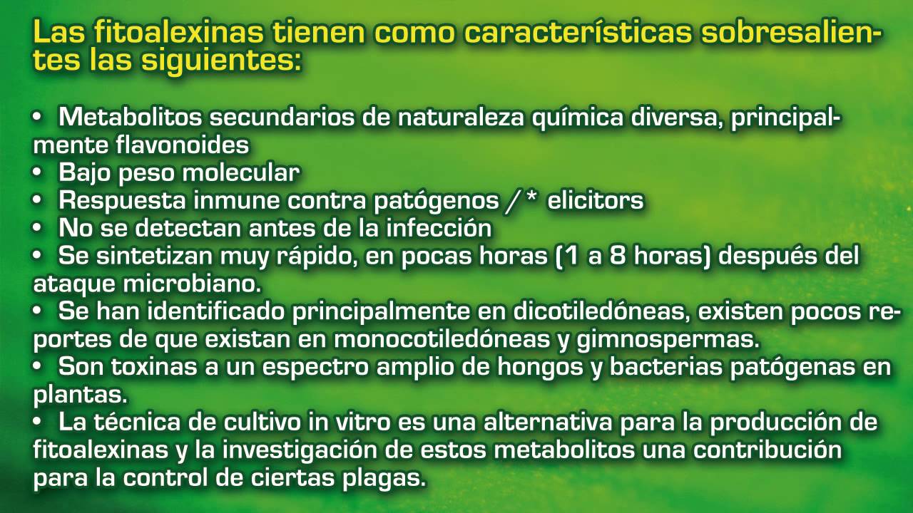 Elicitores y fitoalexinas - YouTube