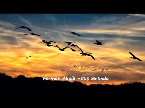 Ferman Akgül | Düş Sırtında♡