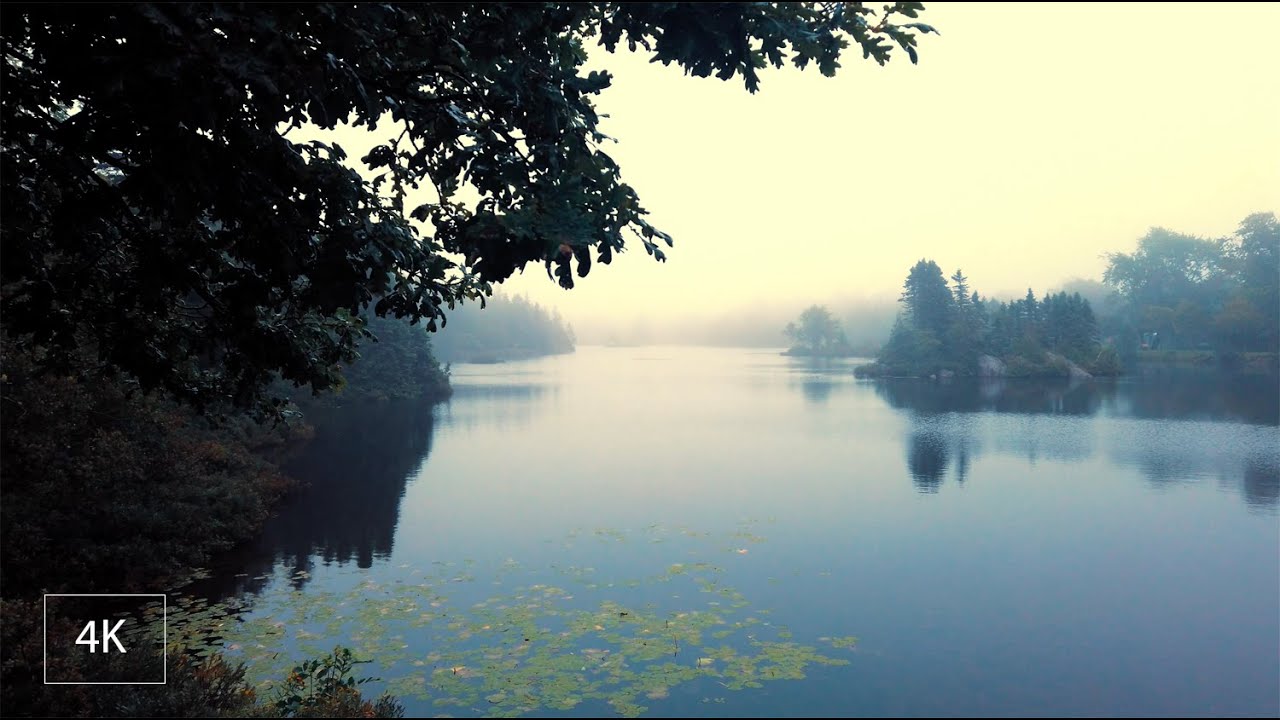 4K Walk in woods light rain for sleep / study and relaxation - YouTube