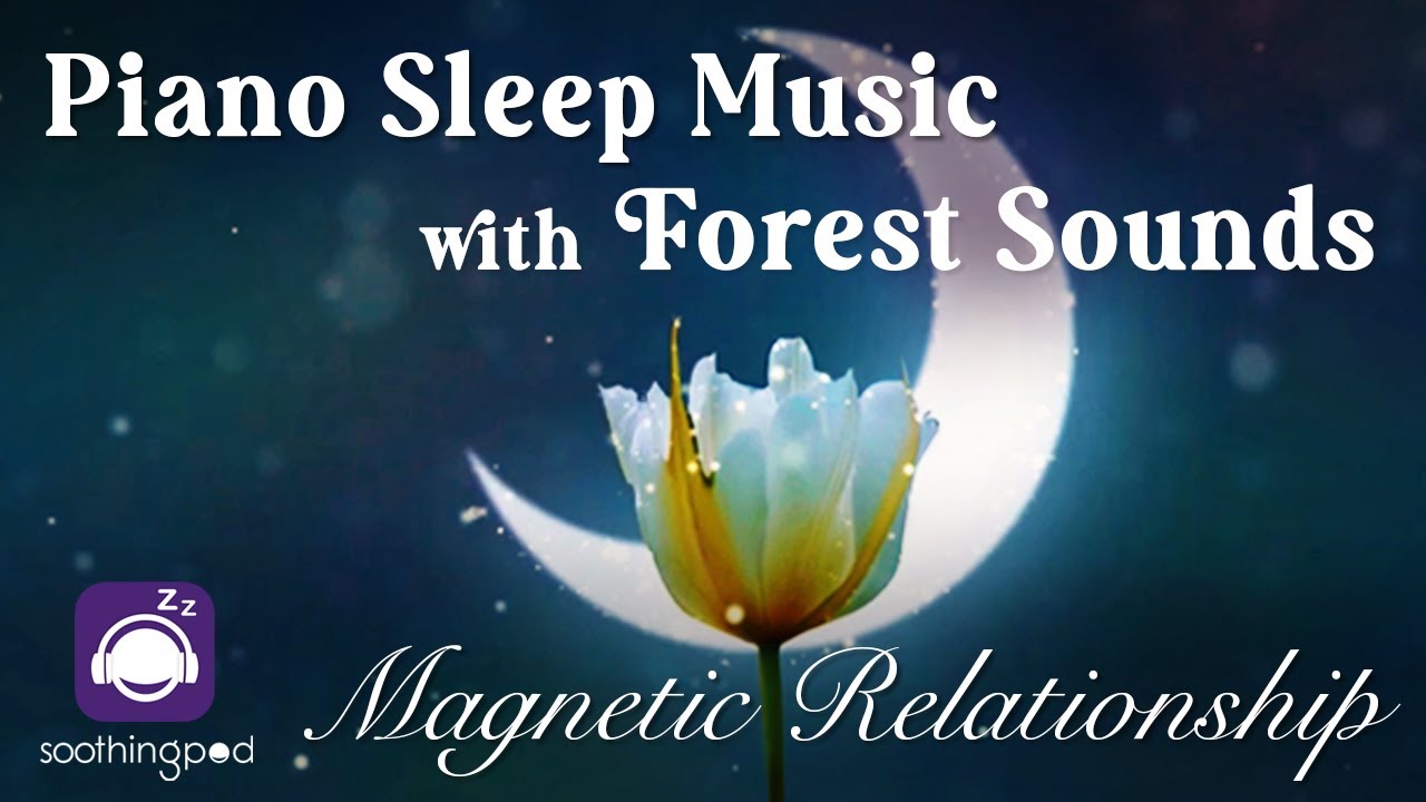 Relaxing Sleep Music | 🎶 Interconnectedness: Magnetic Relationship 🌳 ...