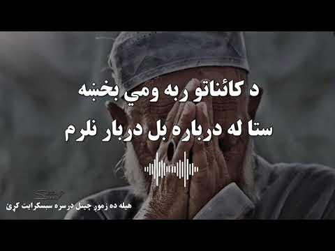د کایناتو ربه ومی بخښه ستا له درباره بل دربار نلرم | Pashto naat |pashto Nazam | نعت | نظم