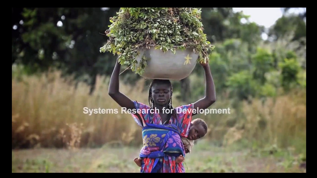 Systems Research for Development - Fergus Sinclair, Leader Systems ...