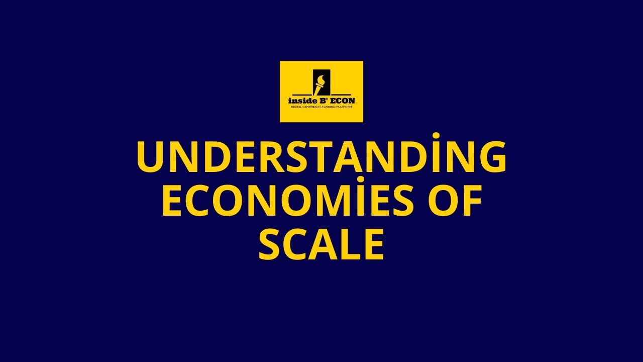 Understanding Economies of Scale | O Level & A Level Business ...