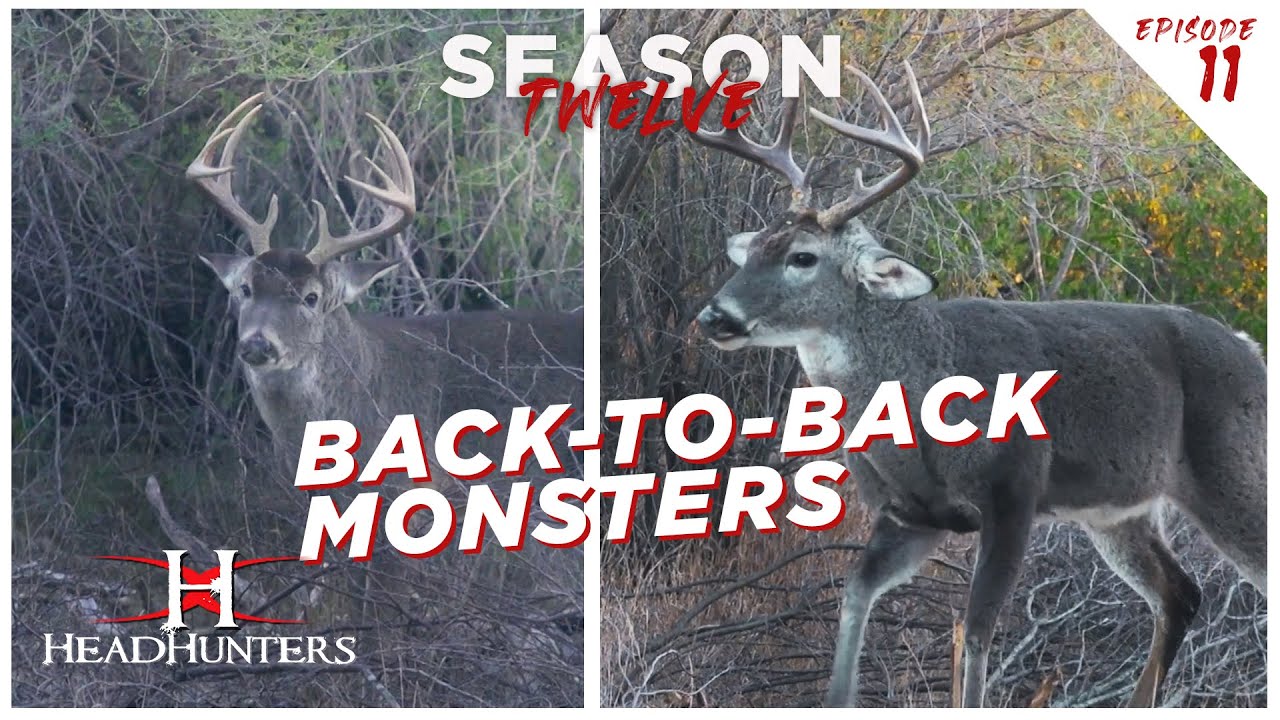 Back-To-Back MONSTERS | "South of the Border, Part 2" | S12E11 - YouTube