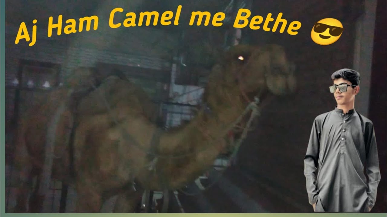 AJ ham camel me Bethe #bohat Maza aya#viral - YouTube