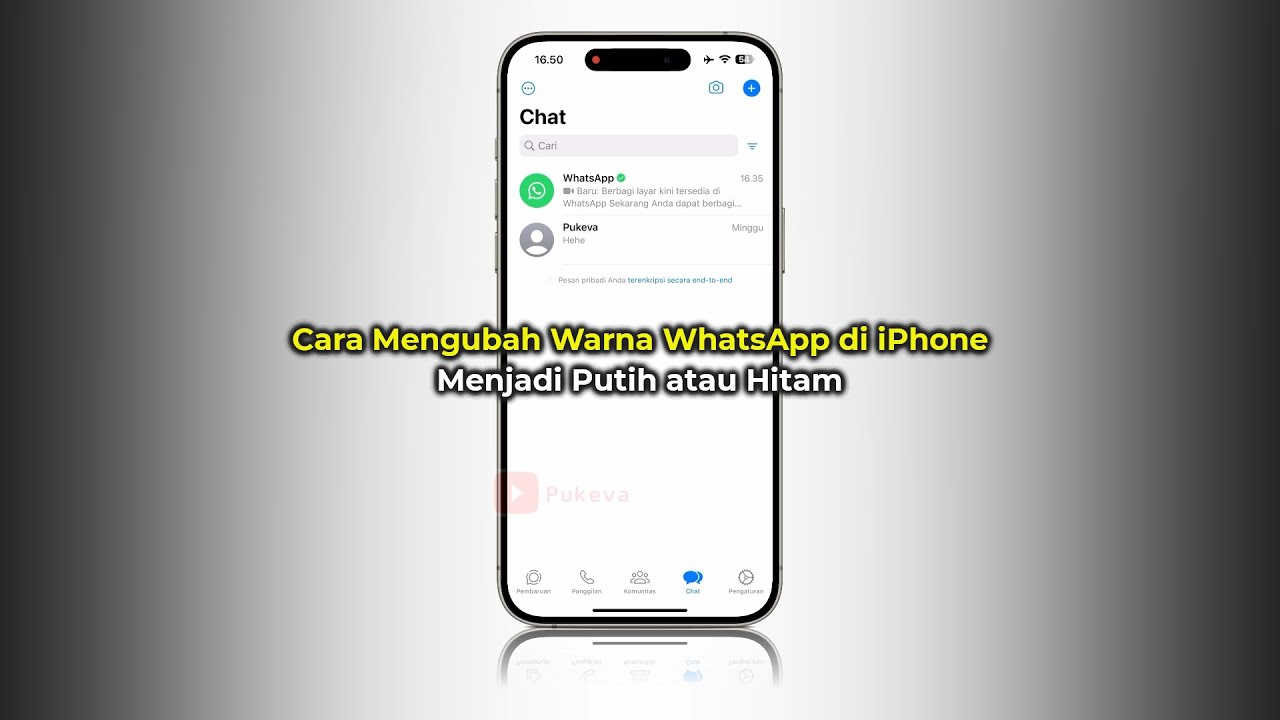Cara Mengubah Warna WhatsApp Menjadi Putih atau Hitam di iPhone - YouTube