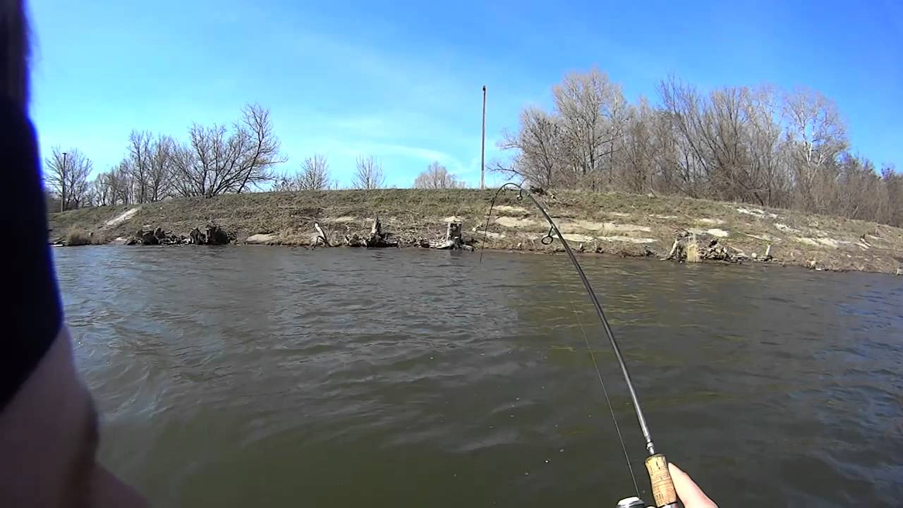 G. Loomis 842-2 IMX and Silver Carp (толстолобик) - YouTube