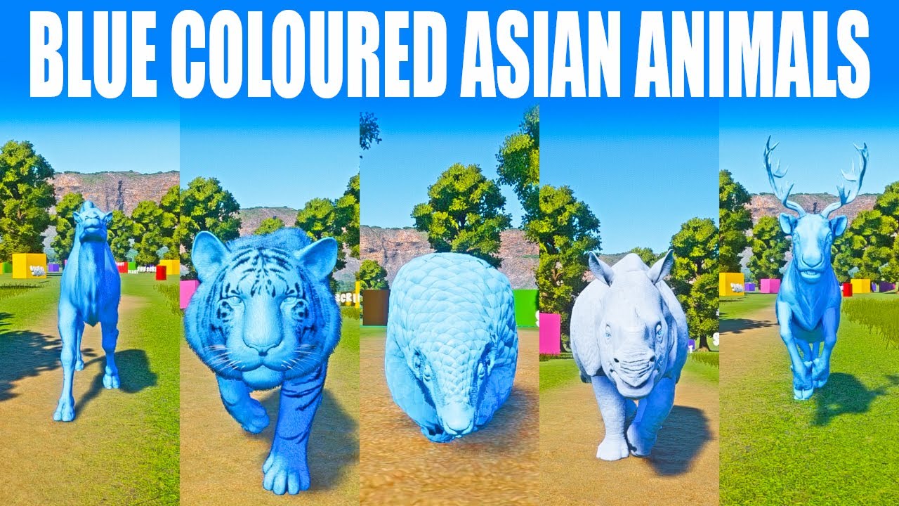 Blue Coloured Asian Wild Animals Speed Races in Planet Zoo included ...