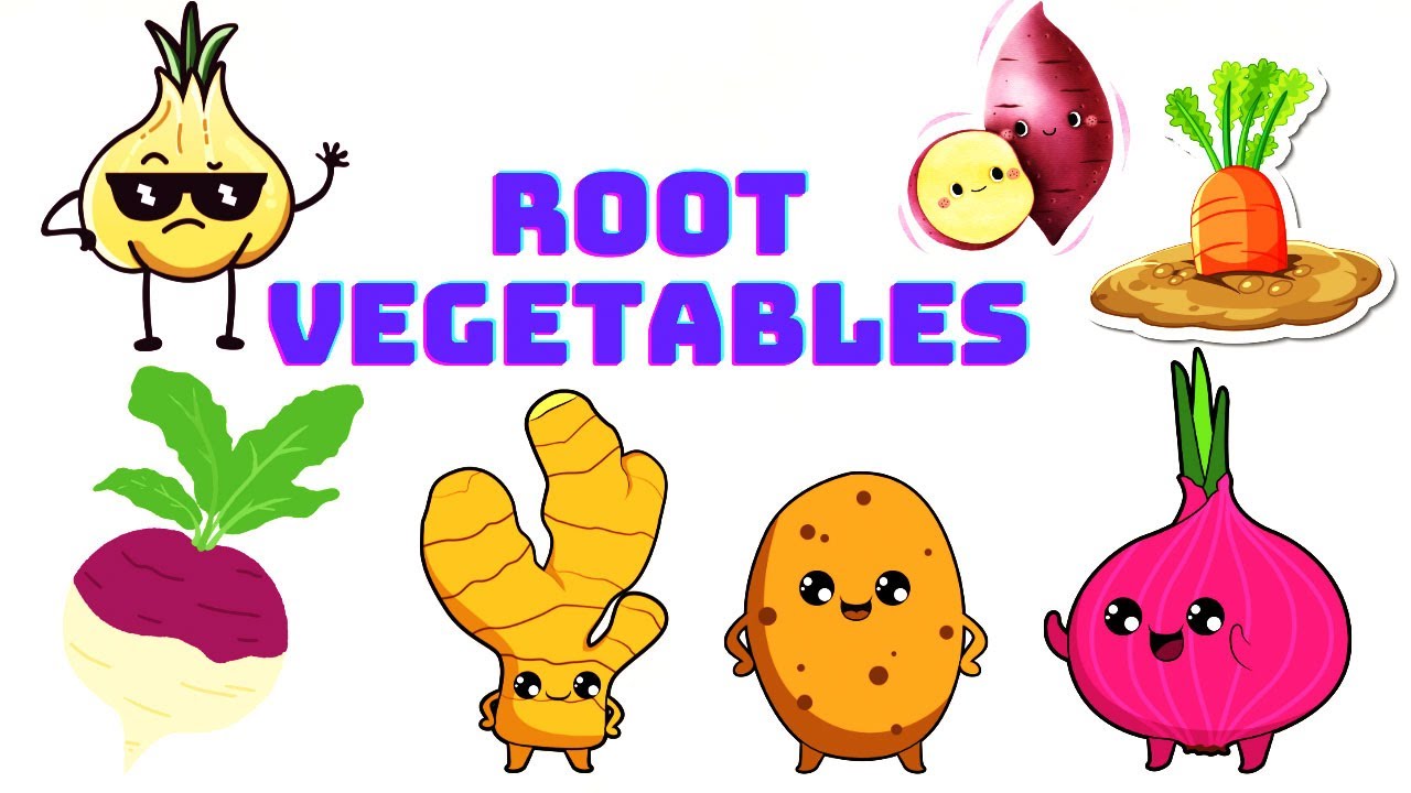Root Vegetables Name in English for Kids Preschool Learning - YouTube