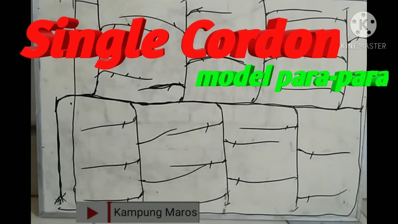 SINGLE CORDON percabangan anggur model parapara dan cara membuahkan ...