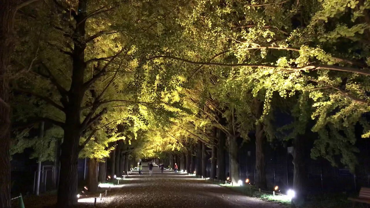 Autumn in Akishima-Shi - YouTube
