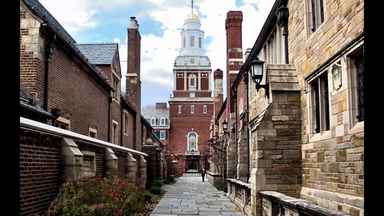 Yale dean placed on leave over "white trash" Yelp reviews - YouTube