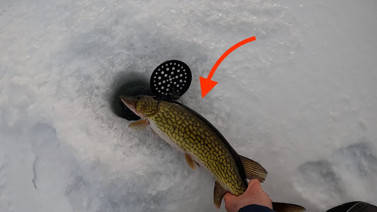 Fast Ice Action Under Snow & Slush! 🎣 🧊 🥶 - YouTube