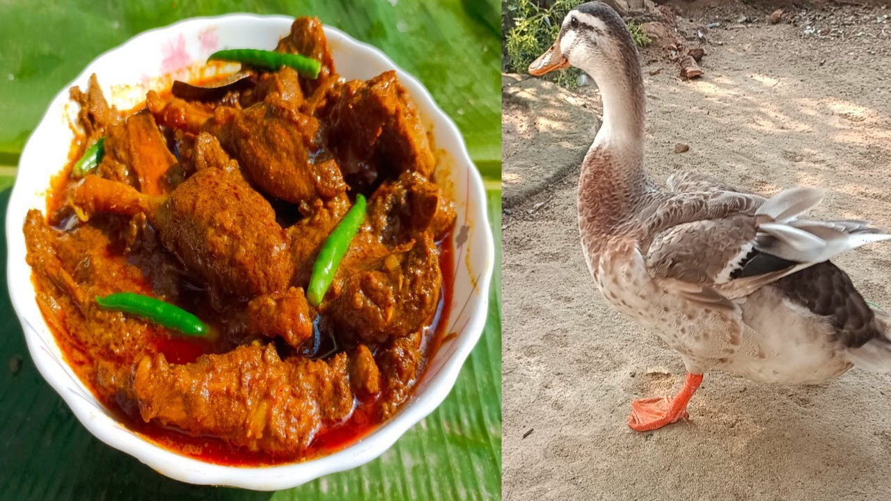 হাঁসের মাংস ভুনা ।। Duck Meat Curry Winter Special Recipe।।Haser ...