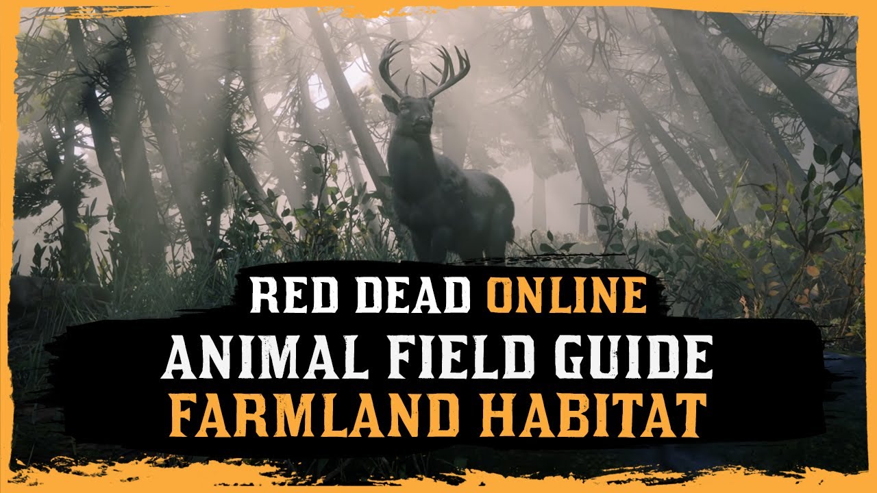 Red Dead Online - Farmland Habitats Locations - Naturalist Role Animal ...