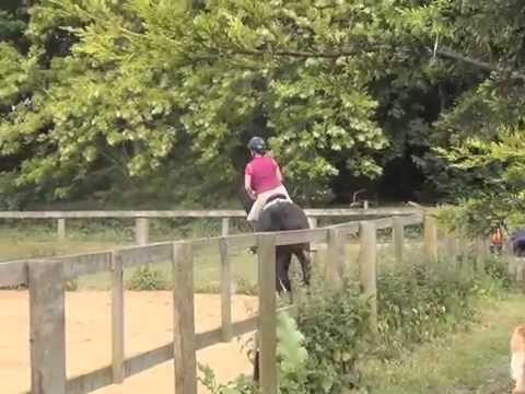 Bella and Rudy first run through Novice 30 27 May 2015 - YouTube