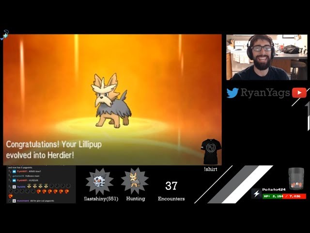 Lillipup Evolution Level